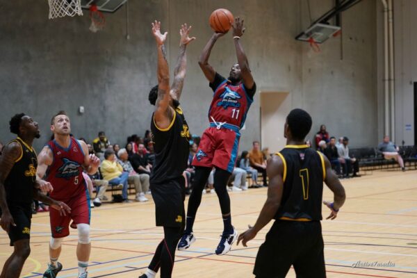 About - San Diego Sharks Basketball
